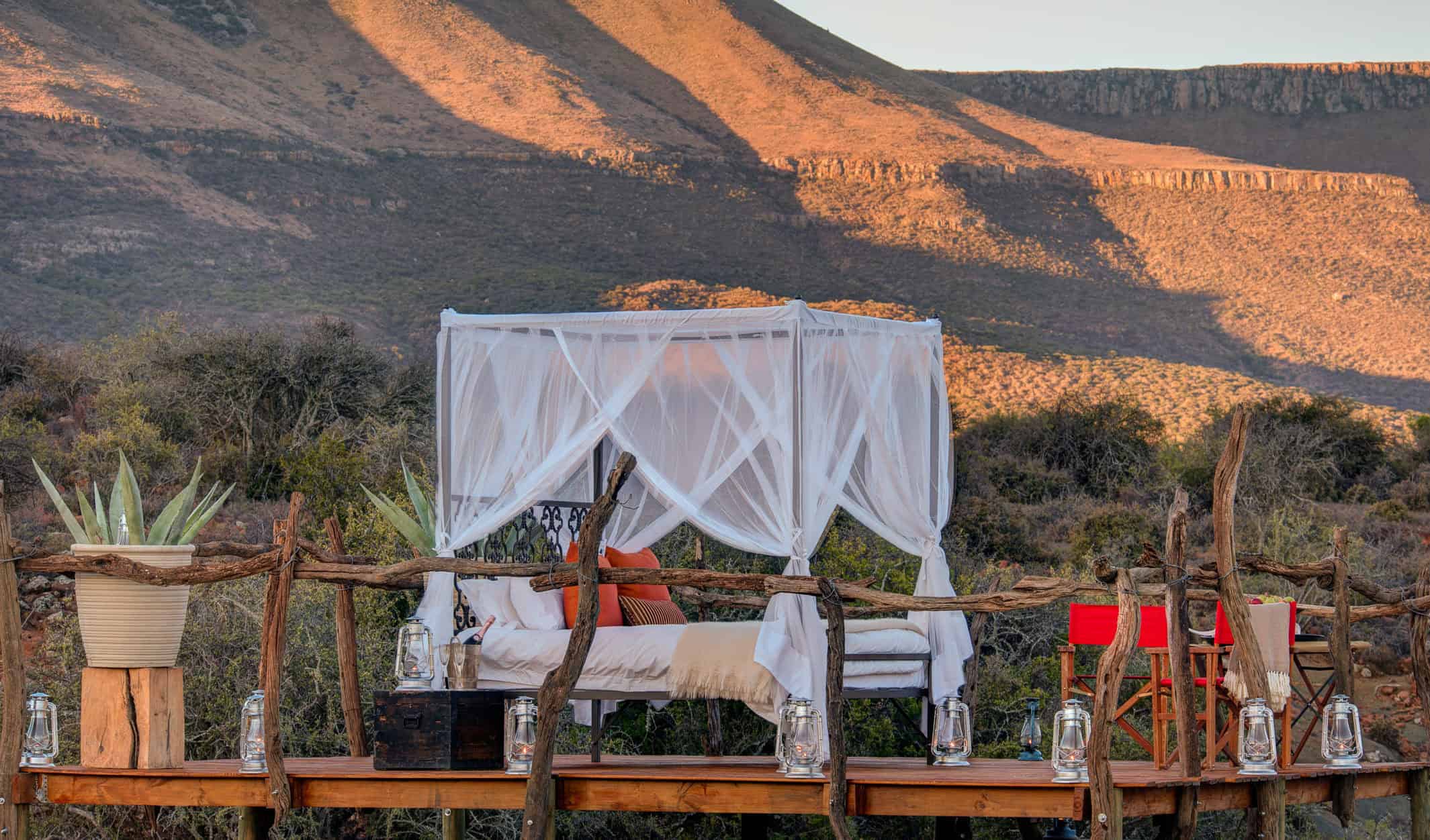 KAROO QUAIL - Samara Karoo Reserve
