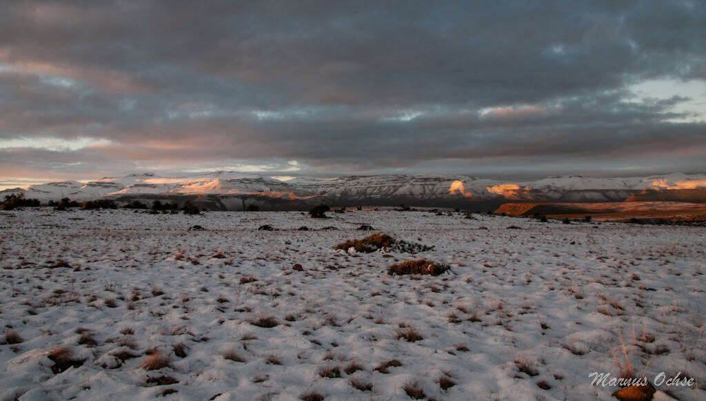 Ecological benefits of snow | Blog | Samara Private Game Reserve