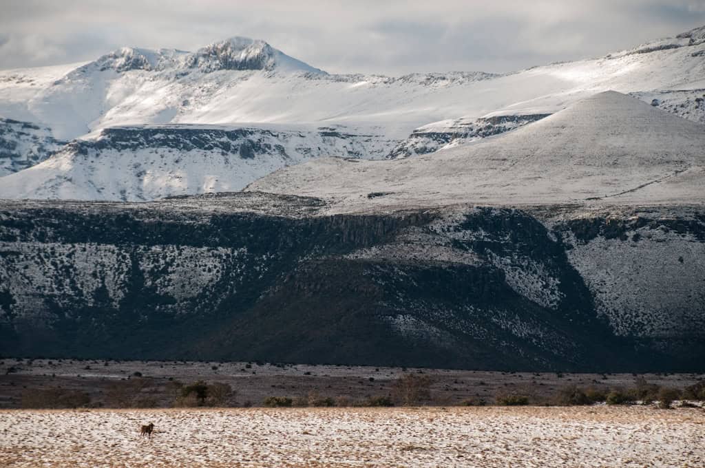 Ecological benefits of snow | Blog | Samara Private Game Reserve