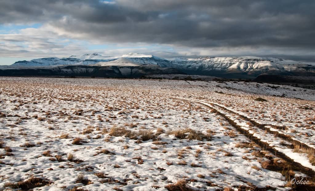 Ecological benefits of snow | Blog | Samara Private Game Reserve