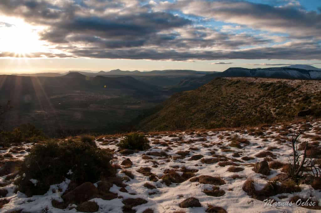 Ecological benefits of snow | Blog | Samara Private Game Reserve