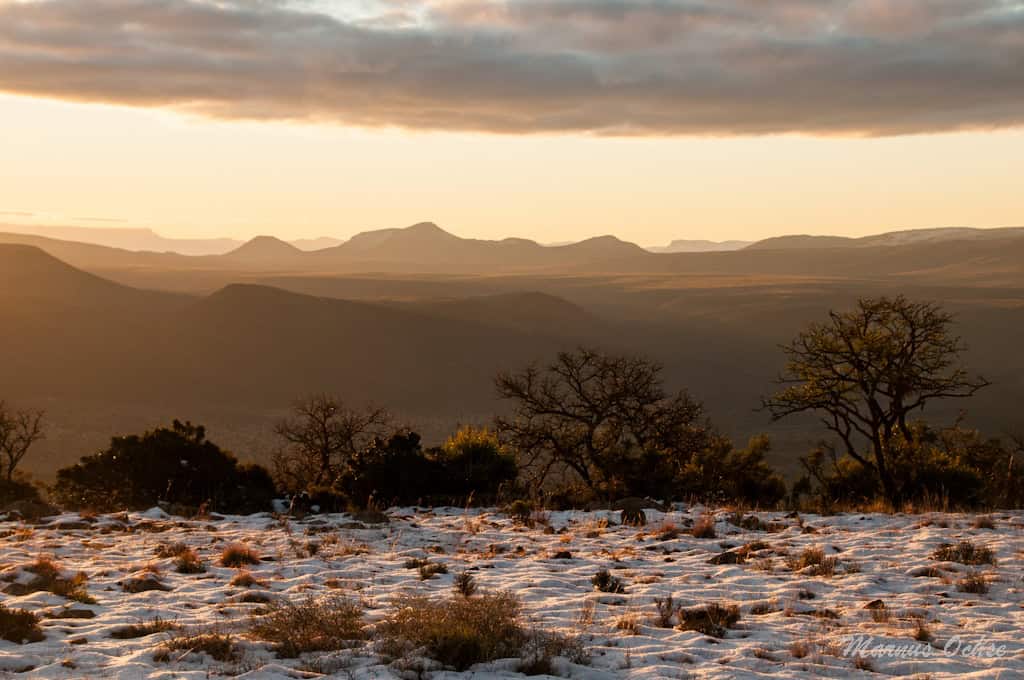 Ecological benefits of snow | Blog | Samara Private Game Reserve